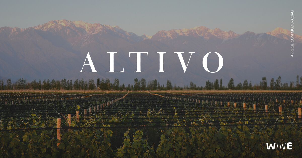 Altivo: vinhos argentinos direto do Valle de Uco | Wine