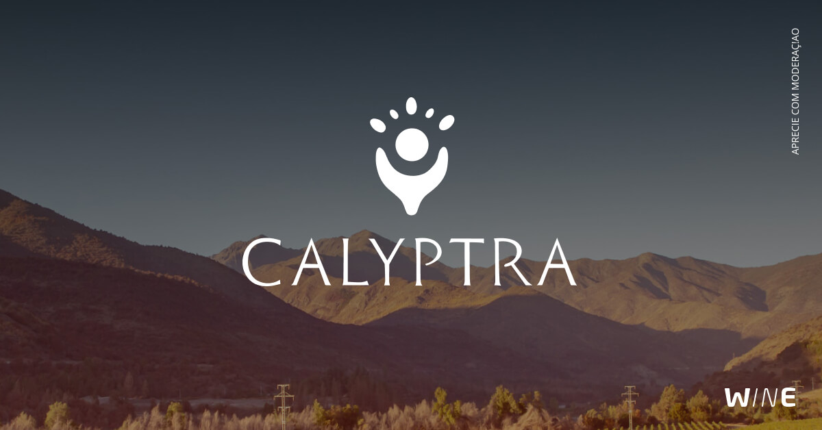 Calyptra: a vinícola do Vale Cachapoal, no Chile | Wine