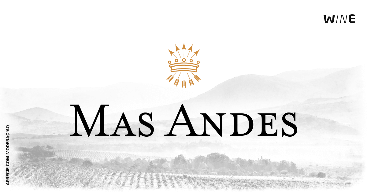 Mas Andes: vinhos chilenos para brindar | Wine